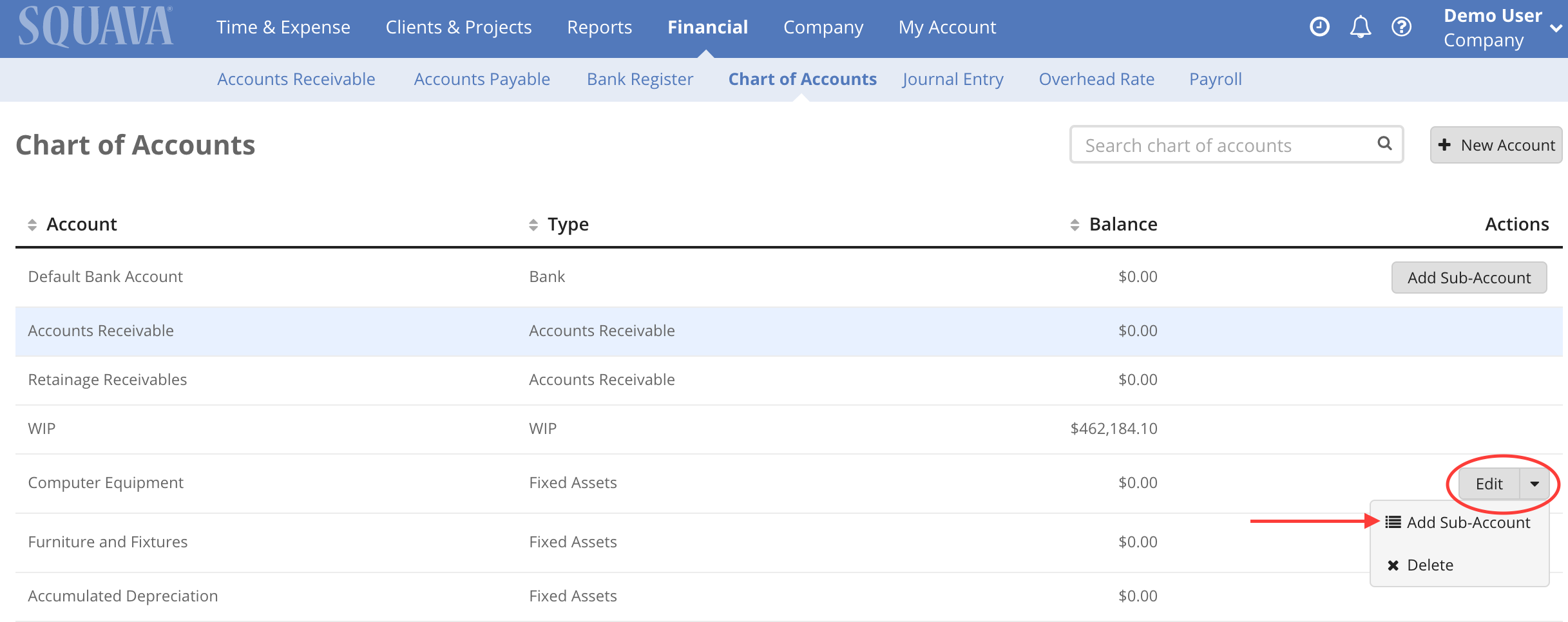 Chart of Accounts – SQUAVA Support