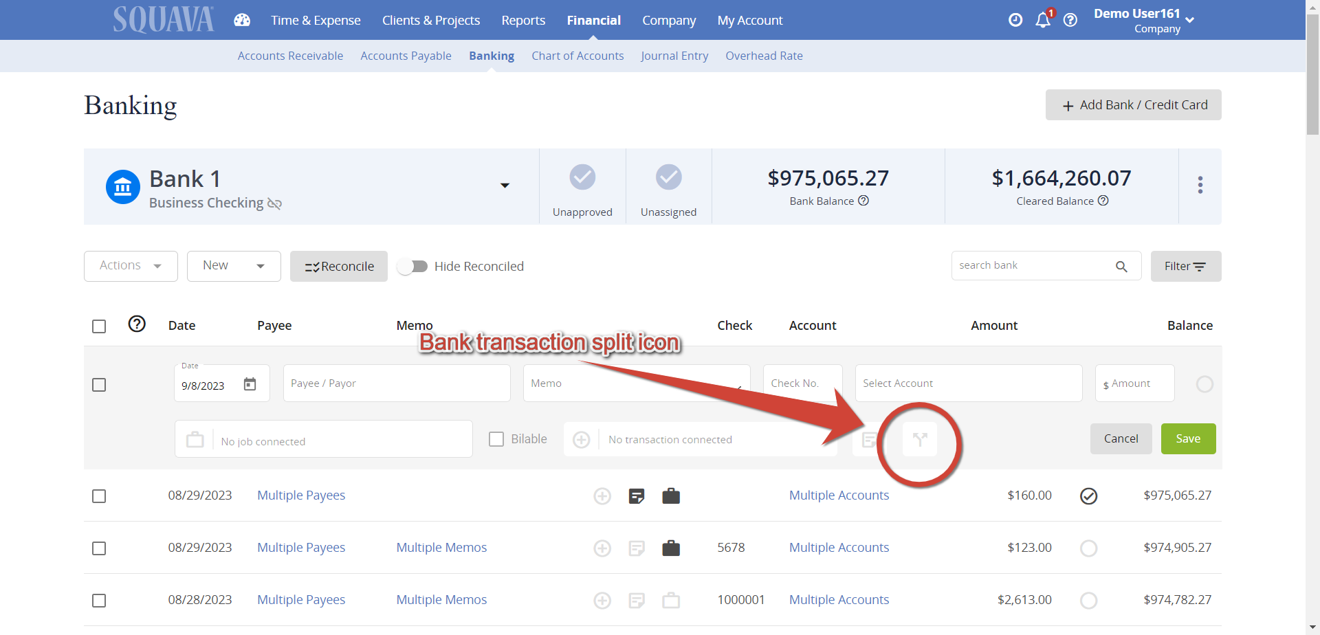 Split Bank Transactions – SQUAVA Support